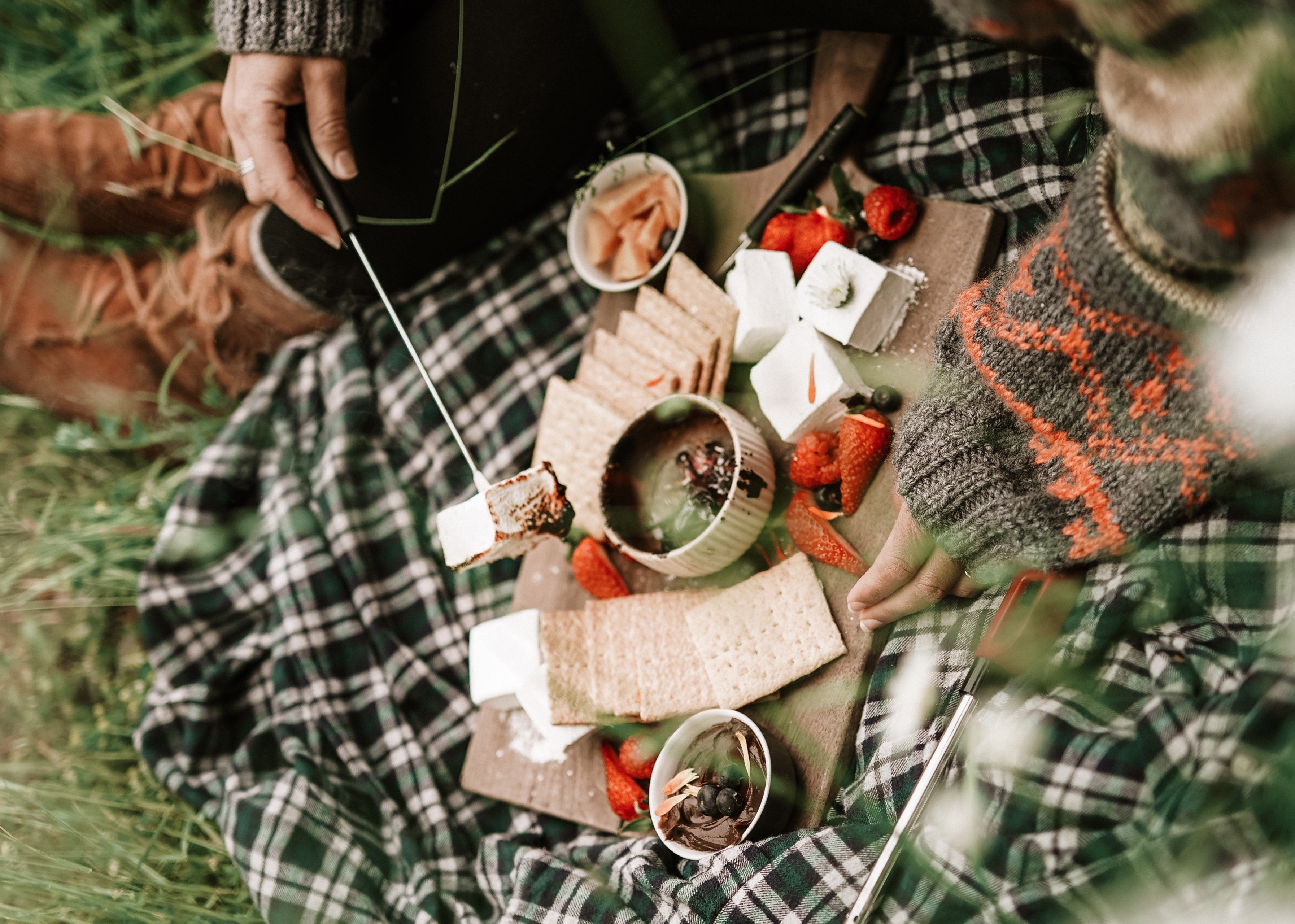How to Throw A Social Distanced, COVID-Safe Picnic – Walker Edison